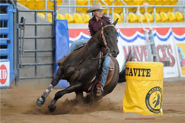 Tamworth Kootingal Horse Riding Adventures, Tourist Attraction, trail ...